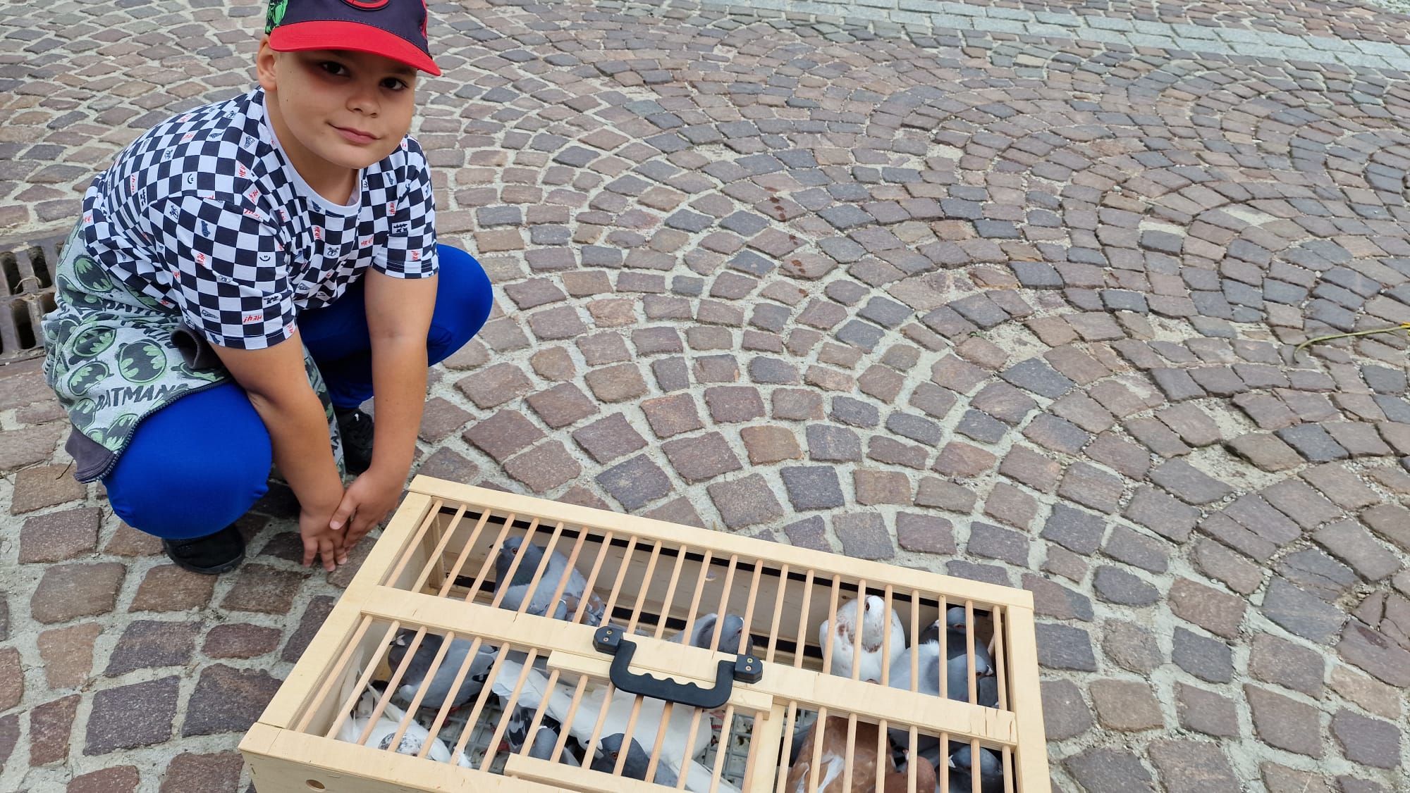 [24tp.pl] Adam z Warszawy wypuścił gołębie do lotu (WIDEO)